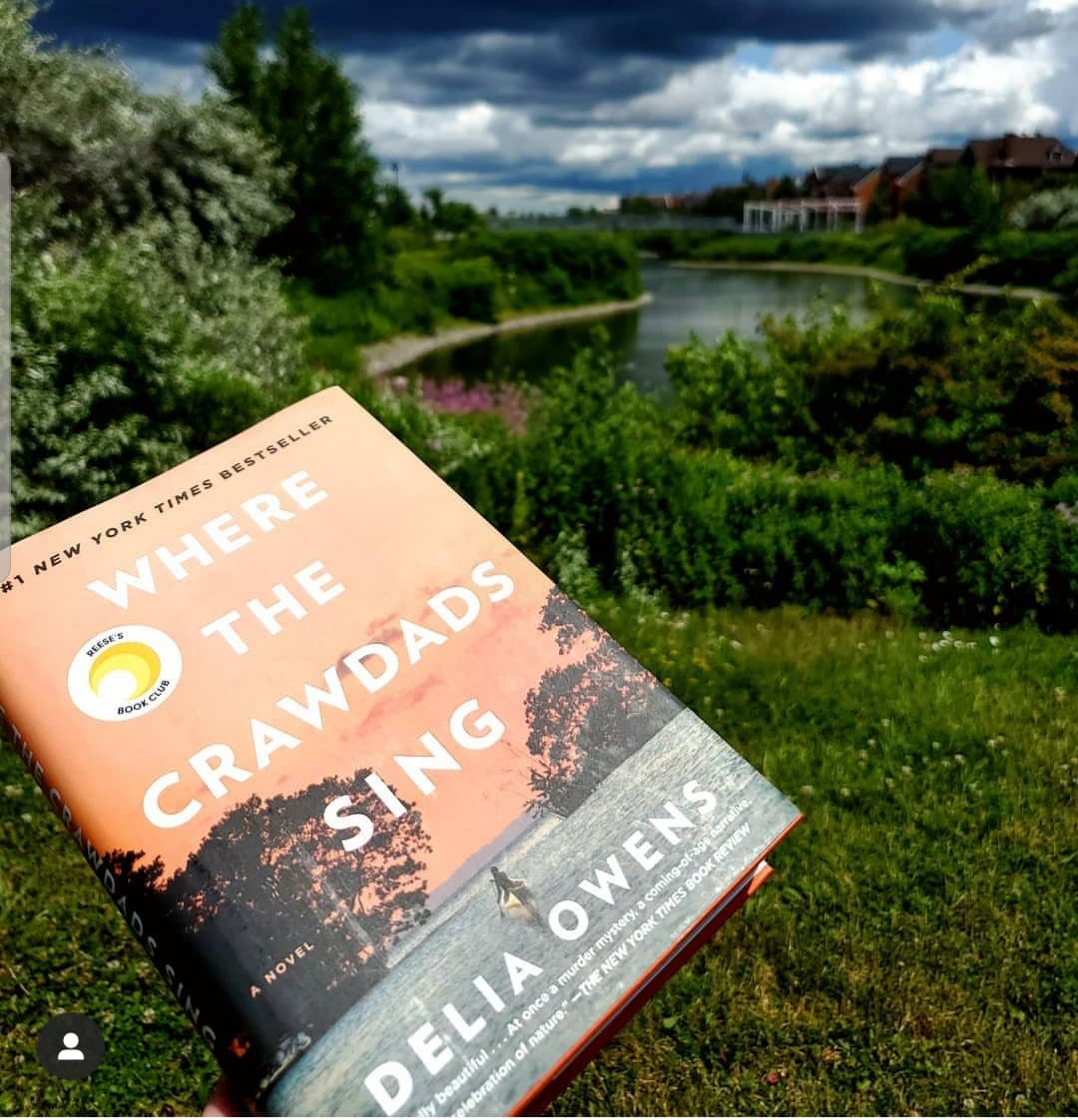 Where the Crawdads Sing Book Review – Khanlibrary